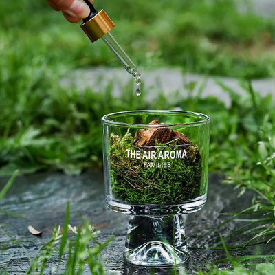 松木青苔扩香杯森系无火精油挥发液净化空气持久留香摆件香薰