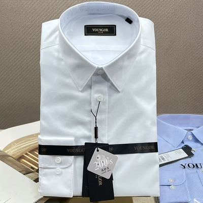雅戈尔男200支全棉免烫长袖衬衫