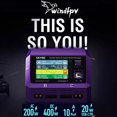 SKYRC Q200neo充电器 AC/DC双输入 智能多功能可用各种电池类型