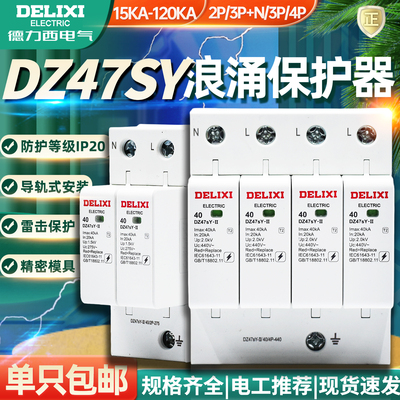 德力西浪涌保护器DZ47sY防雷器