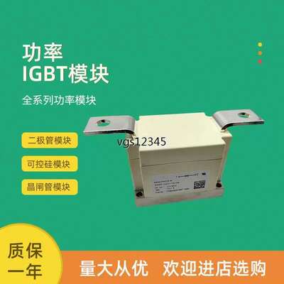 议价二极体模块SKKE290F06 SKKD152/16 H1