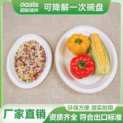 韶能绿洲甘蔗渣浆竹浆小椭圆盘环保耐高温一次性餐具可降解可堆肥