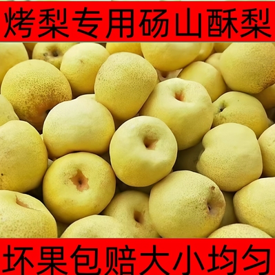 烤梨专用砀山酥梨小梨子榨汁梨膏