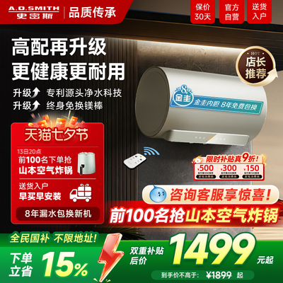 ao史密斯金圭内胆速热耐用热水器