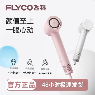 飞科FH6370新款吹风机不伤发速干家用蓬松负离子大风力送女朋友