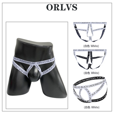 ORLVS跨境新款现货男士性感青年双丁内裤男OR6263