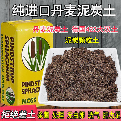 品氏基质大汉土德国扦插种植多肉