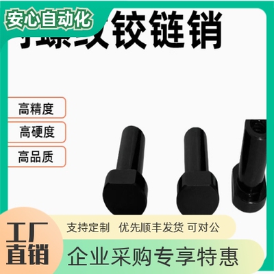 带肩铰链销内螺纹HCLBM SHCLBM6 8 10 12 15 16 20 内螺纹台阶销