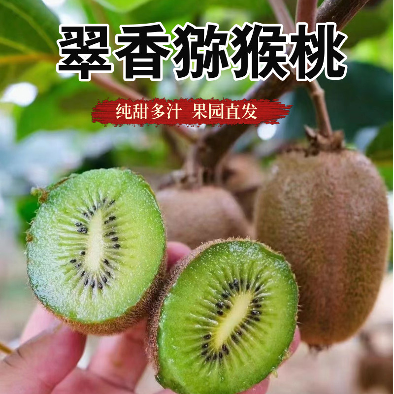 江山翠香猕猴桃现摘当季新鲜水果包邮爆甜多汁当季孕妇儿童奇异果