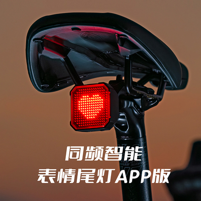 CXWXC自行车尾灯DIY自主编辑