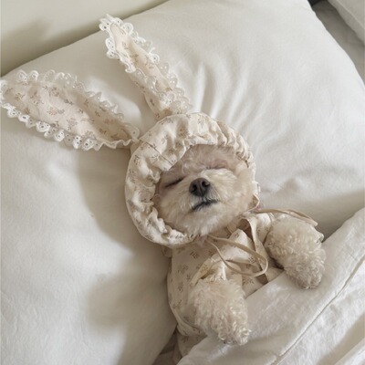 韩代正品兔耳朵小型犬狗连帽风衣