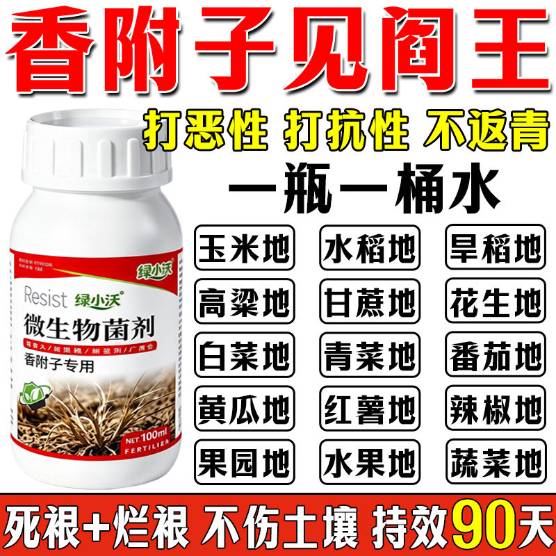 香附子专用烂锄草根助菜地荒地野外不伤作物香附子强效土壤调理剂