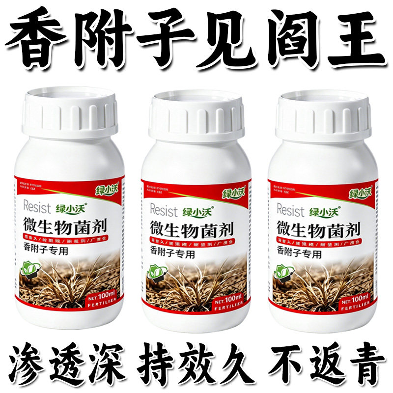 香附子专用烂锄草根助剂菜地荒地野外不伤作物香附子农业生产肥料