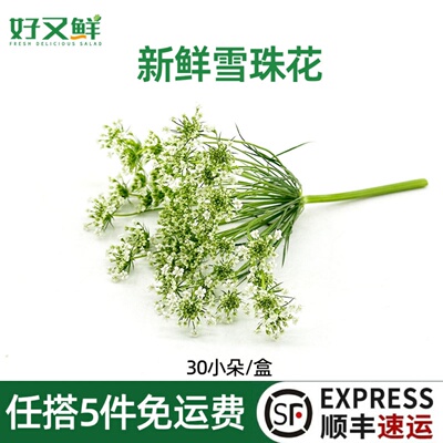 新鲜雪珠花蕾丝花西餐日料摆盘