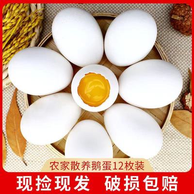 【破损包赔】12枚鹅蛋微山湖畔鹅蛋新鲜正宗农家散养现捡现发新鲜
