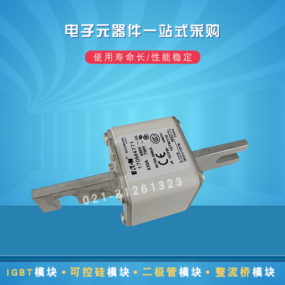 170M4760 4761 4762 4763 4764 4765 4766 4767快速熔断器保险丝