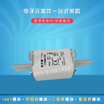 快速熔断器保险丝170M4176 4177 4178 4179 4180 4181 4182 4183