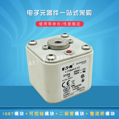 快速熔断器保险丝170M4411 4412 4413 4414 4415 4416 4417  4418