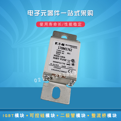 巴斯曼Bussmann熔断器170M1755 1756 1757 1758 1759 1760 1761
