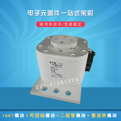 170M7141 7142 7143 7144 7145 7146 7147 7148快速熔断器保险丝