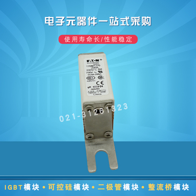 巴斯曼快速熔断器170M2024 2025 2026 2027 2028 2029 2030 2031