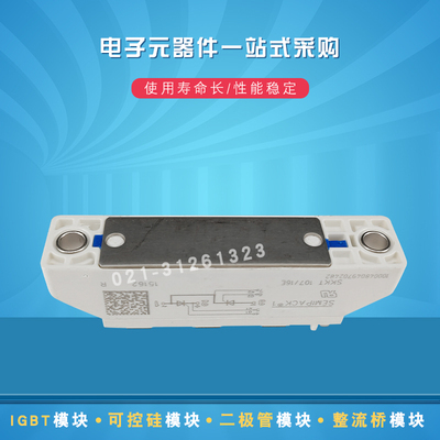 全新可控硅模块SKKT105/SKKT106/08E 12E 14E 16E
