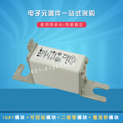 巴斯曼快速熔断器170M1415 1416 1417 1418 1419 1420 1421 1422