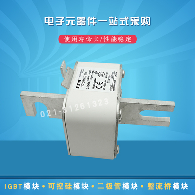伊顿巴斯曼熔断器170M6219 6220 6221 6229 6230 6237 6238 6239
