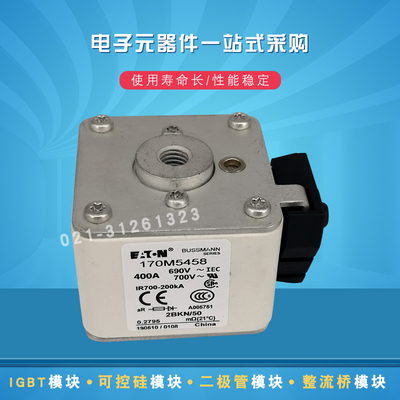 快速熔断器170M5438 5439 5440 5441 5442 5443 5444 5445保险丝