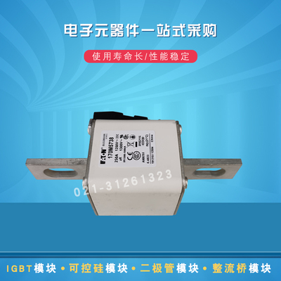 170M5732 5733 5734 5735 5738 5739 5740 5741快速熔断器保险丝