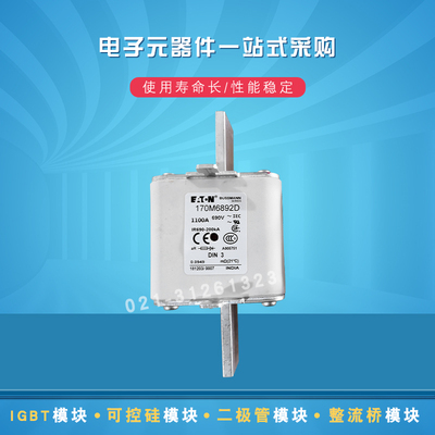 快速熔断器保险丝170M6891 6892D 6898 6899 6900 6901 6902 6903