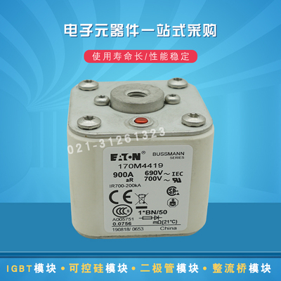 巴斯曼熔断器保险丝170M4445 4446 4447 4458 4459 4460 4461现货