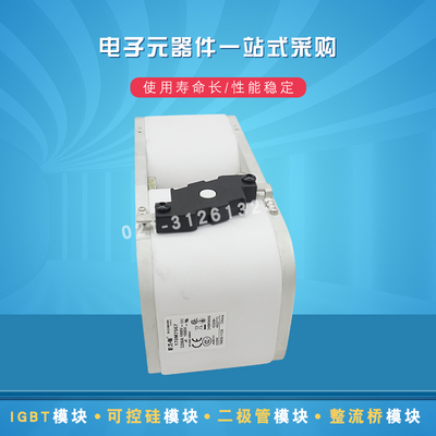 巴斯曼170M熔断器保险丝