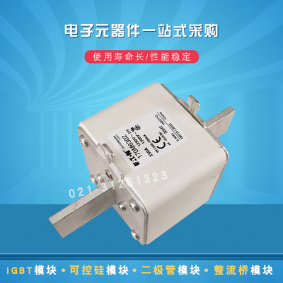 快速熔断器保险丝170M6315 6316 6317 6318 6325 6338 6339 6340