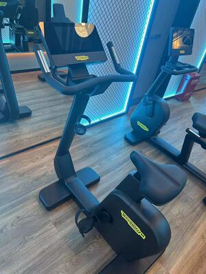 泰诺健意大利进口立式健身车