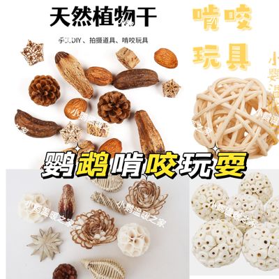 鹦鹉啃咬玩具秋葵松果玄风牡丹虎皮中小型娱乐解闷益智类训练鸟
