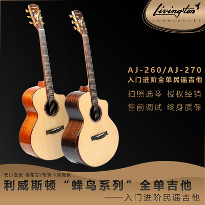 利威斯顿全单进阶吉他蜂鸟系列