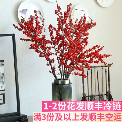 北美冬青鲜切花云南基地直发