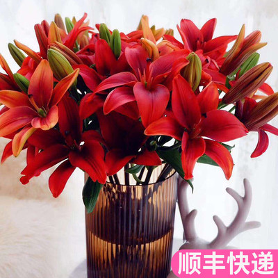 红宝石百合鲜花喜庆婚庆婚礼花束