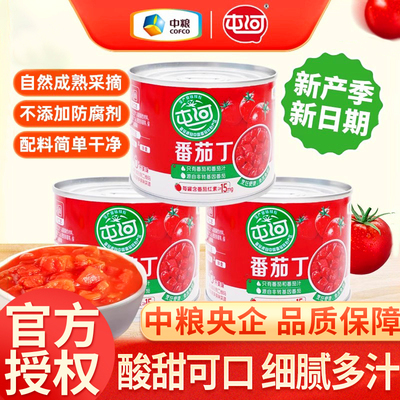 中粮屯河番茄丁200g罐装