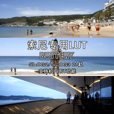 Buttery Sony SLog2  Slog3 Lut 自然REC709+ 创意 LUTs 21款