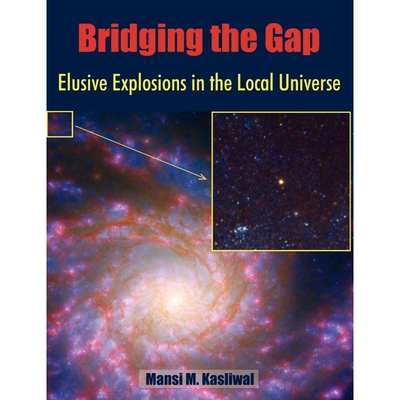 按需印刷不退不换Bridging the Gap[9781612337753]