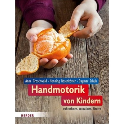 预订【德语】Handmotorik von Kindern[9783451379420]