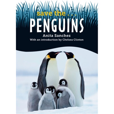 预售【2024新书】Save The... Penguins[9780593624500]
