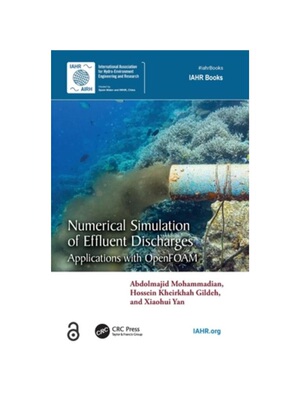 按需印刷不退不换TF Numerical Simulation of Effluent Discharges[9781032020488]