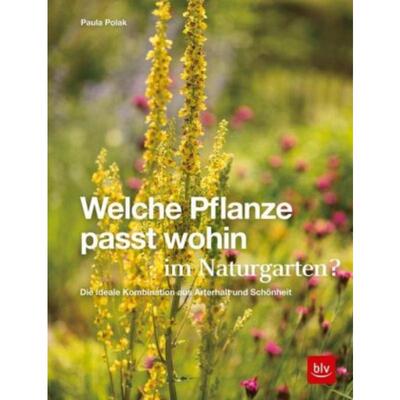 预订不退不换德语 Welche Pflanze passt wohin im Naturgarten?:Die ideale Kombination aus Art