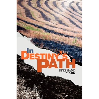 按需印刷不退不换In Destiny's Path[9780595299775]