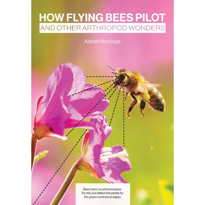 按需印刷不退不换How Flying Bees Pilot, and other arthropod wonders[9781914934421]