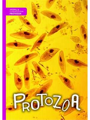 预订Protozoa