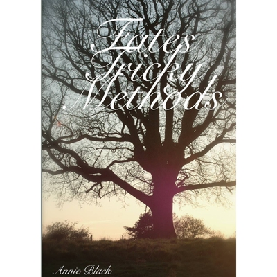 按需印刷Fate's Tricky Methods[9781291922196]